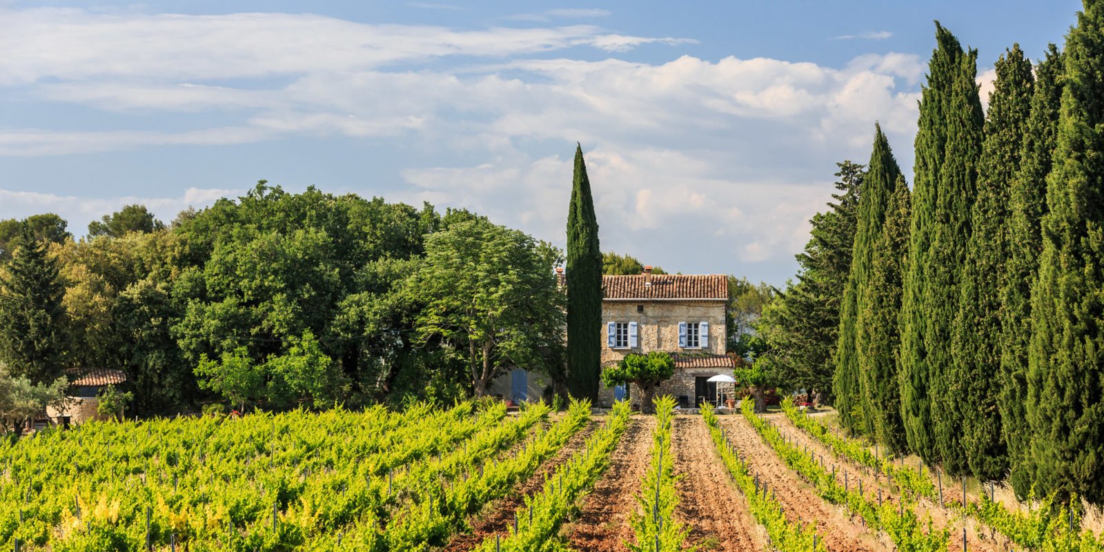 Découvrez la route des vins de Provence dans la belle région du Var